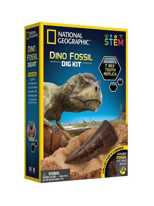 National Geographic Dinosaur Dig Kit | edamama