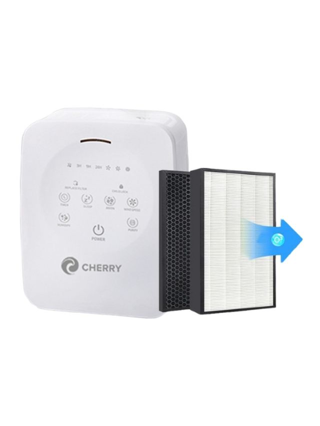 Cherry Ionizer with Air Purifier and Humidifier w… | edamama