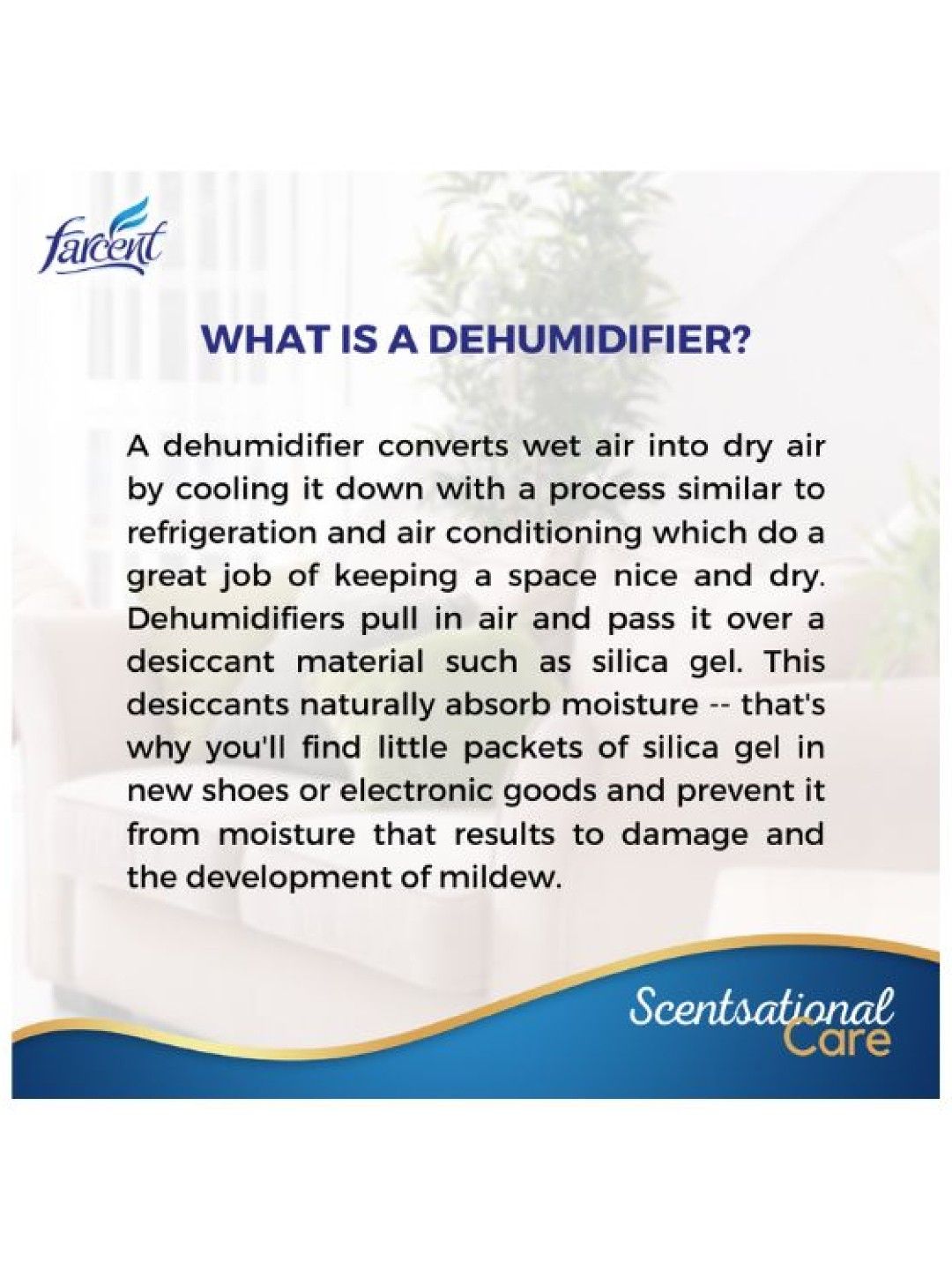 Farcent Hanging Dehumidifier Bag (5pcs) | edamama