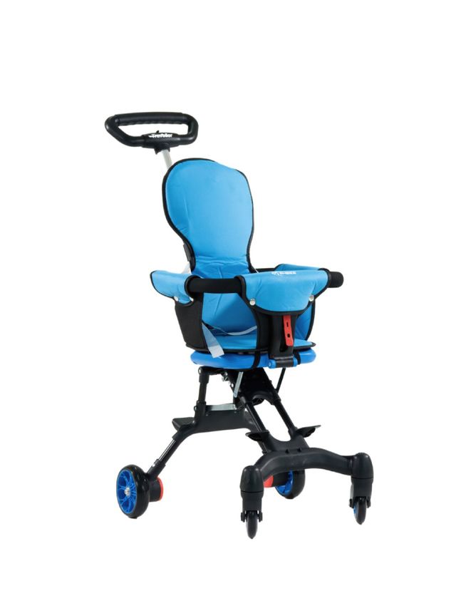 Ashbee Push Chair for babies | edamama