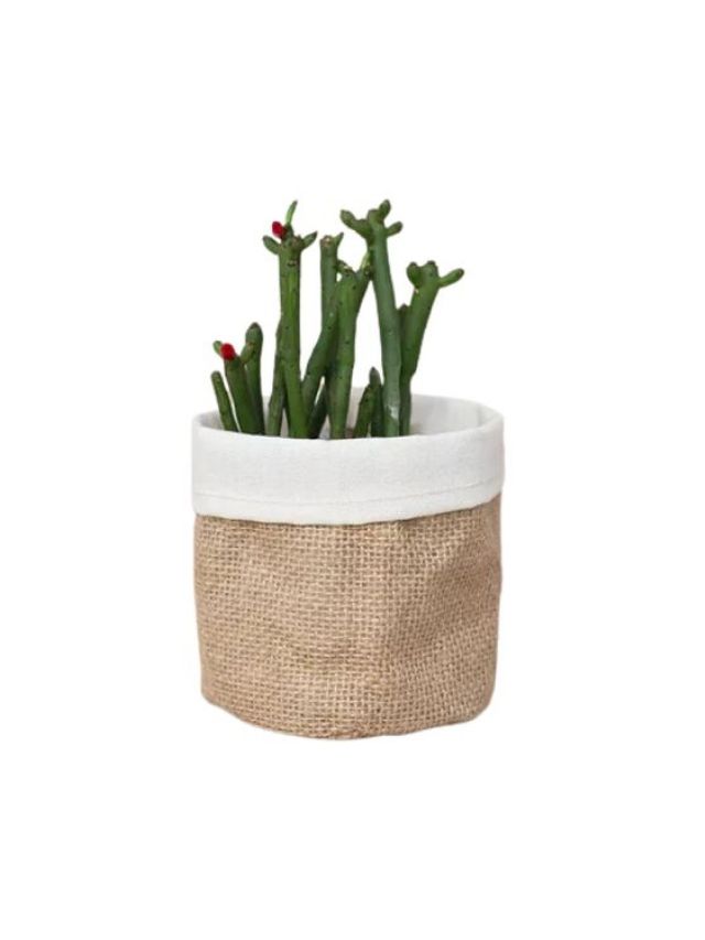 Puting Decorative Flower Pot Covers | edamama