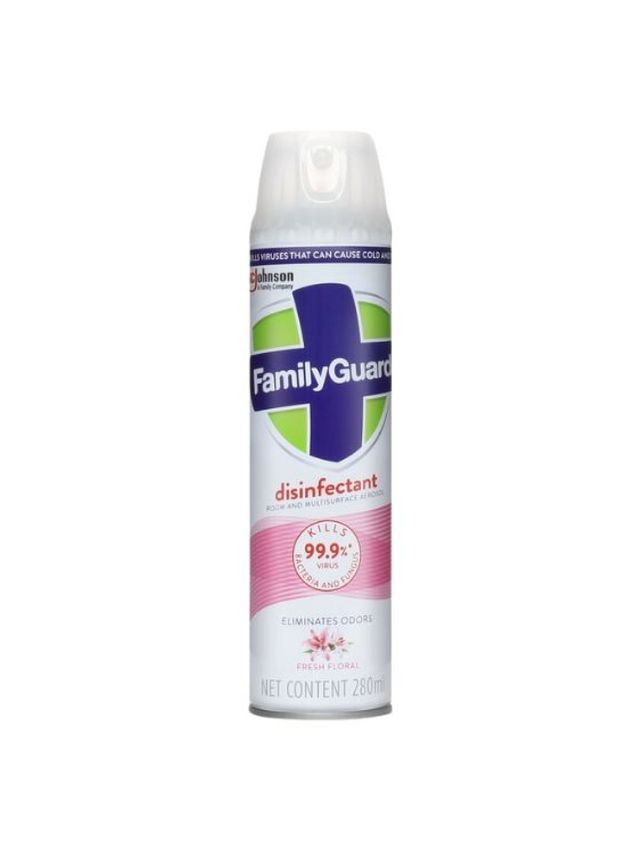 Family Guard Disinfectant Room & Multi-Surface Spray Aerosol (280ml ...