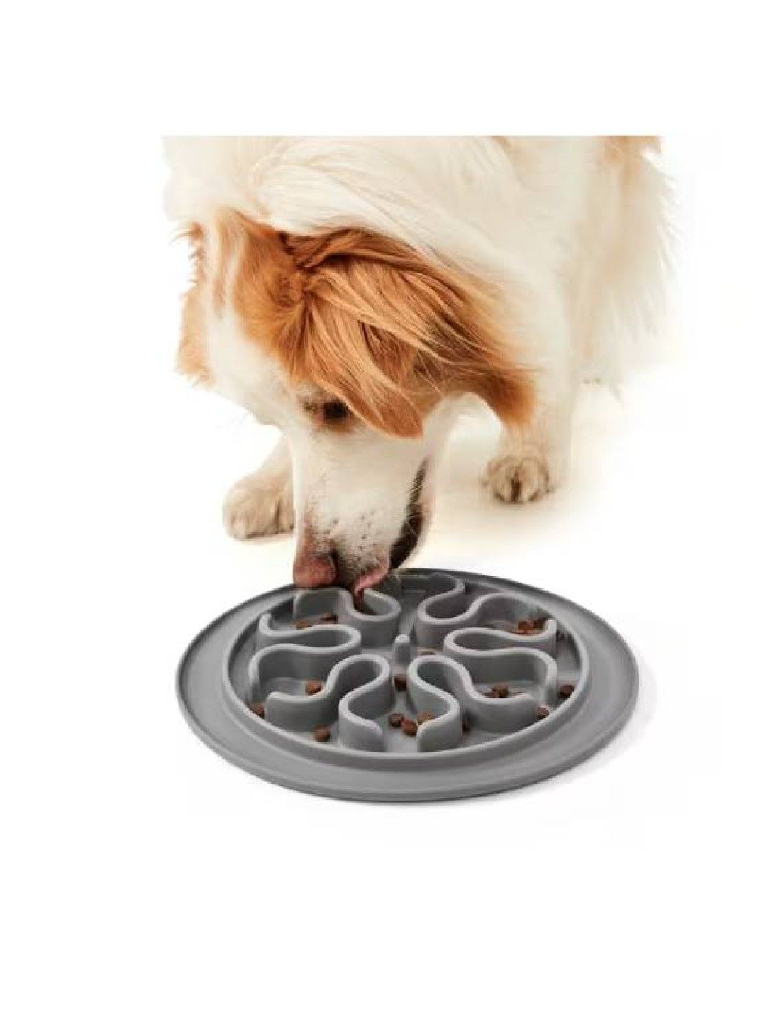 Anko Pet Slow Eat Mat | edamama