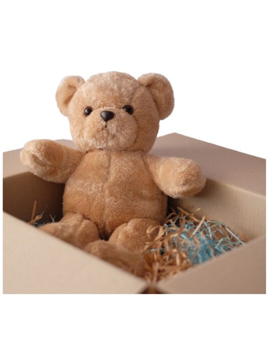 Plushies Ted | edamama